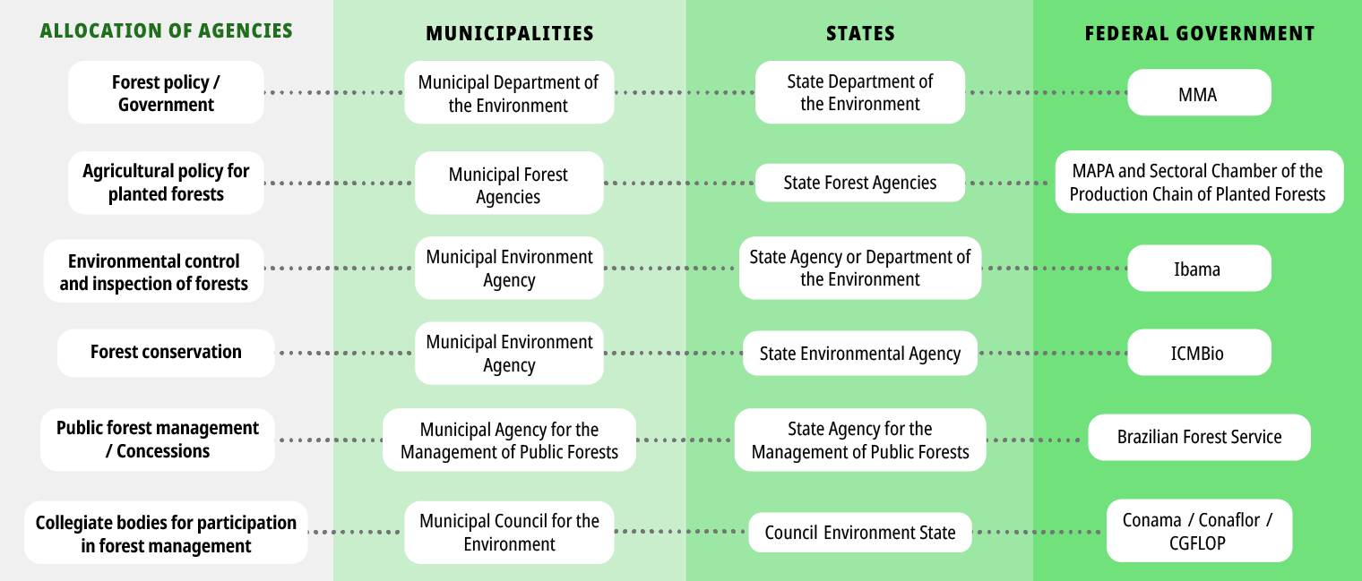 Brazilian Forests - data and statistics: 2024 | Public institutions ...